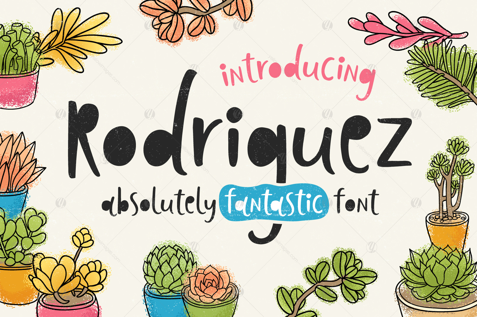 Rodriguez Font on Yellow Images Creative Store