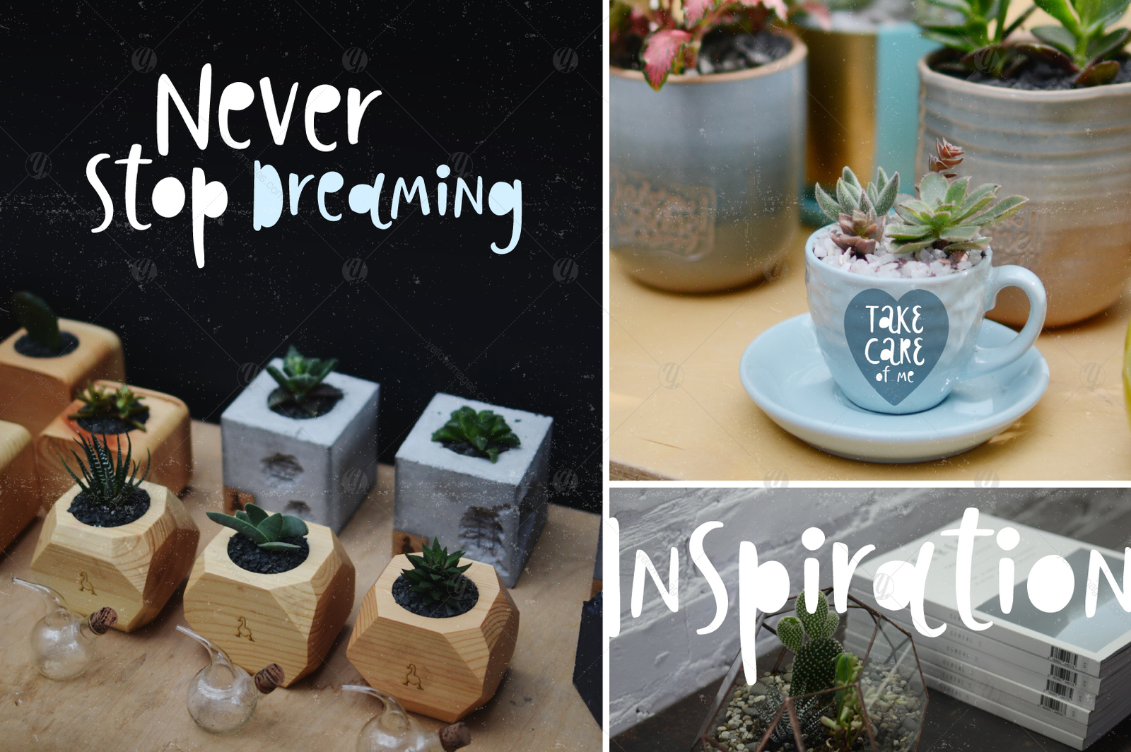 Rodriguez Font on Yellow Images Creative Store