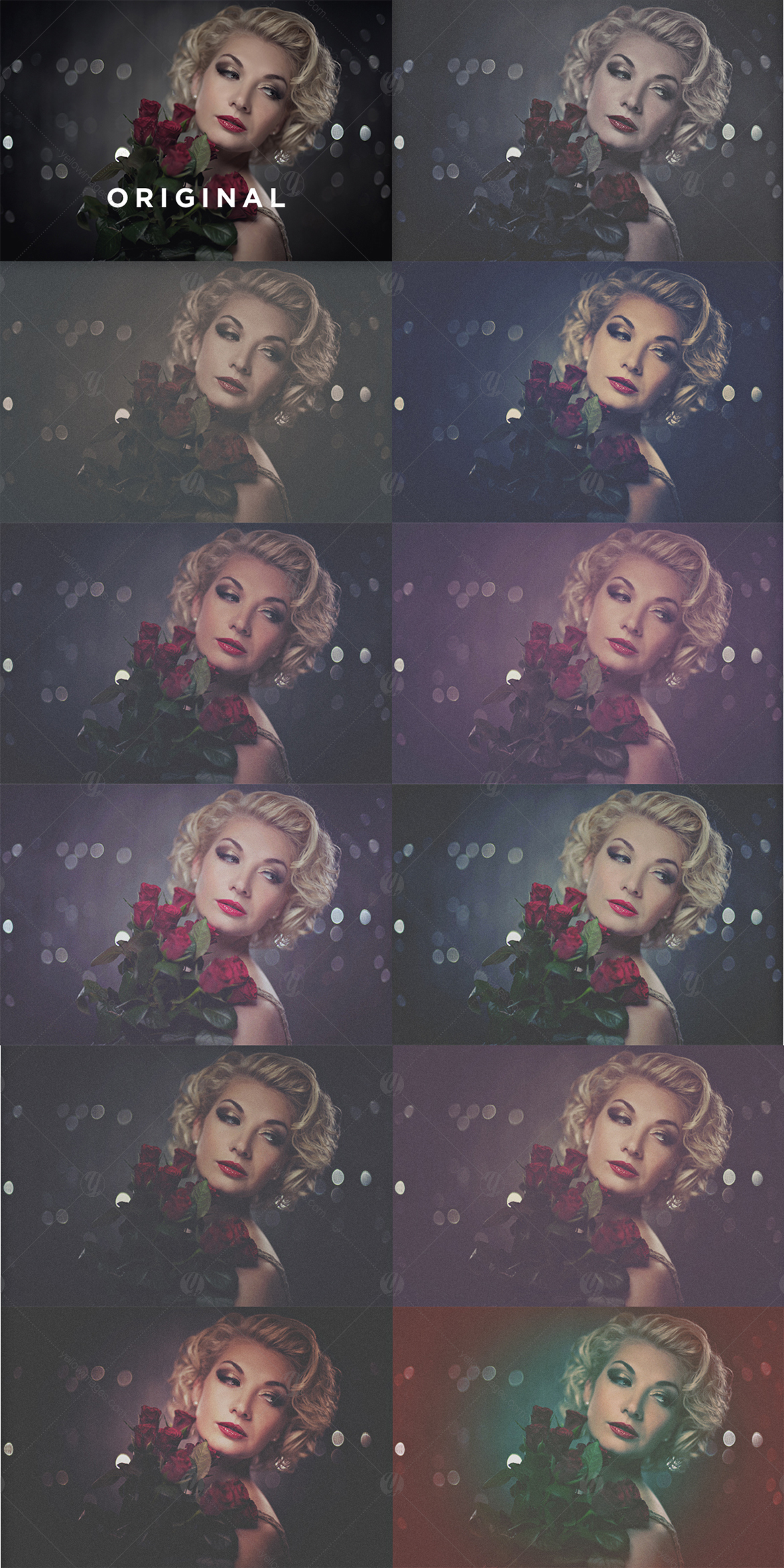 The Matte Collection on Yellow Images Creative Store