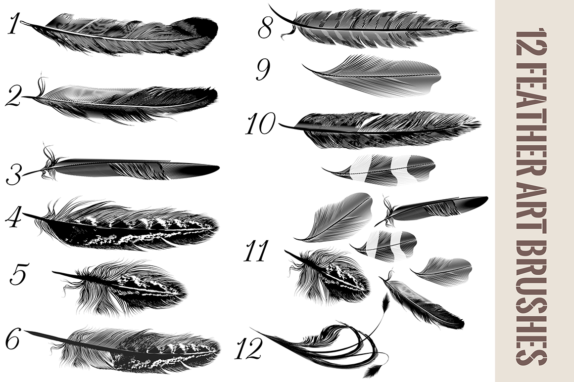 Feather brushes for Adobe Illustrator on Yellow Images Creative Store