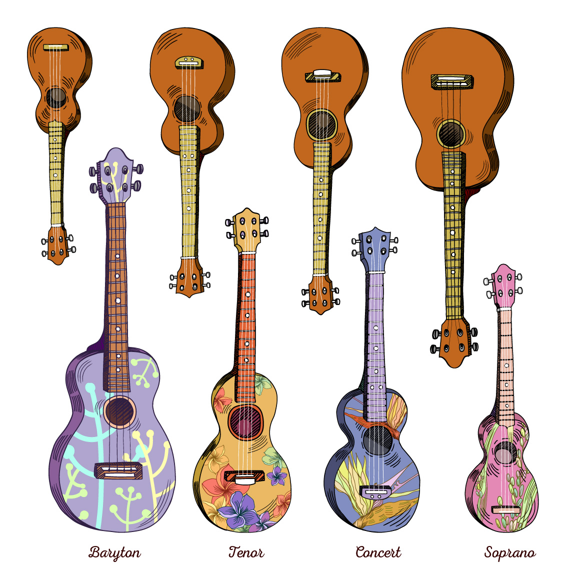 Ukulele Types