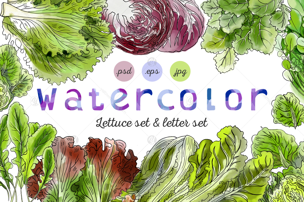 Lettuce watercolor letter set on Yellow Images Creative Store