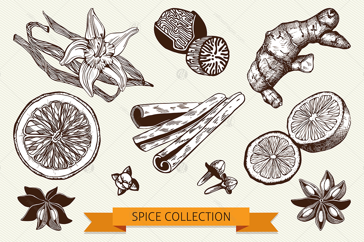 Ink Hand Drawn Spice Collection on Yellow Images Creative Store