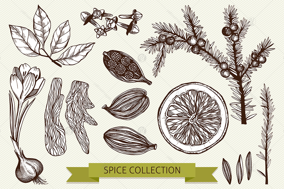 Ink Hand Drawn Spice Collection on Yellow Images Creative Store