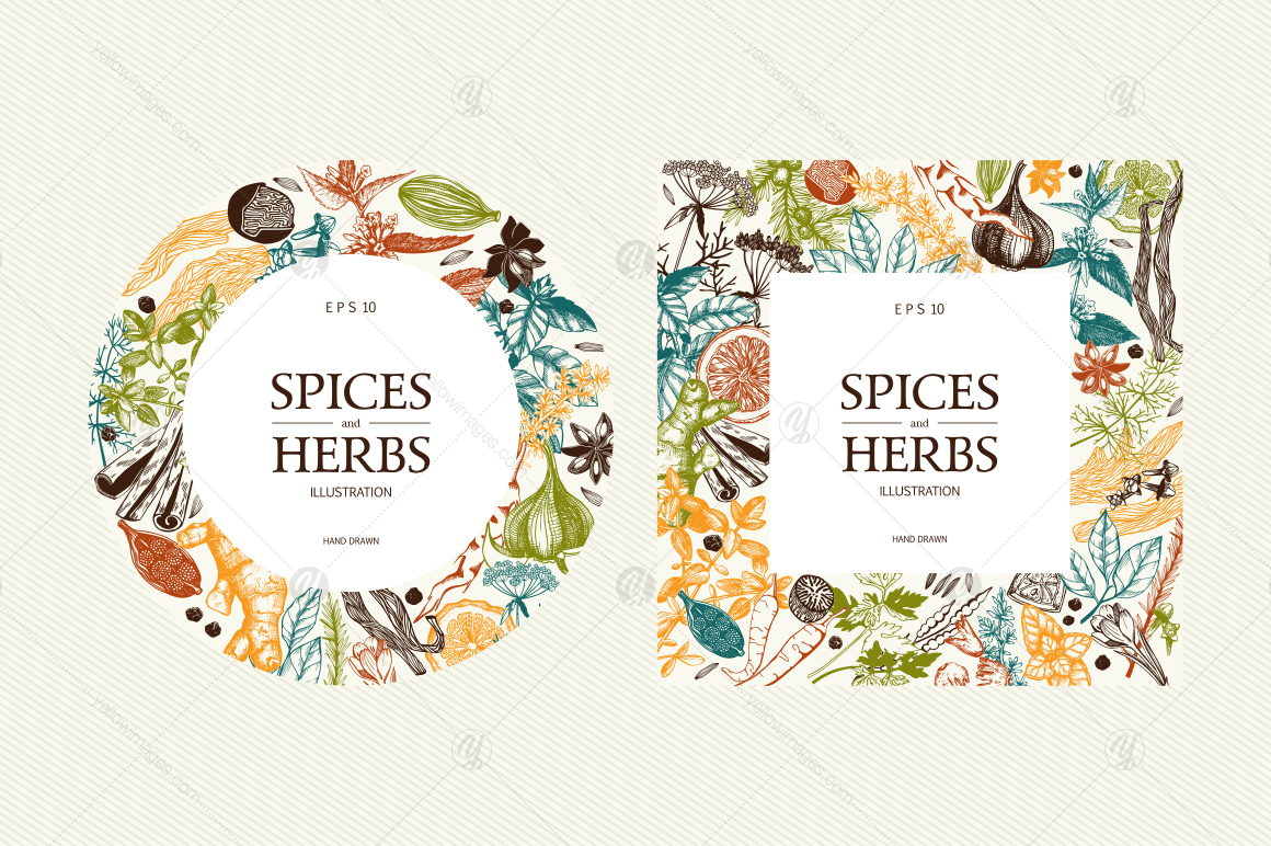Ink Hand Drawn Spice Collection on Yellow Images Creative Store