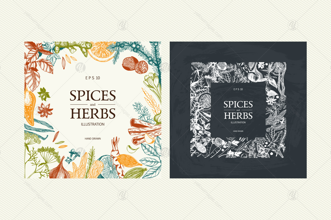 Ink Hand Drawn Spice Collection on Yellow Images Creative Store
