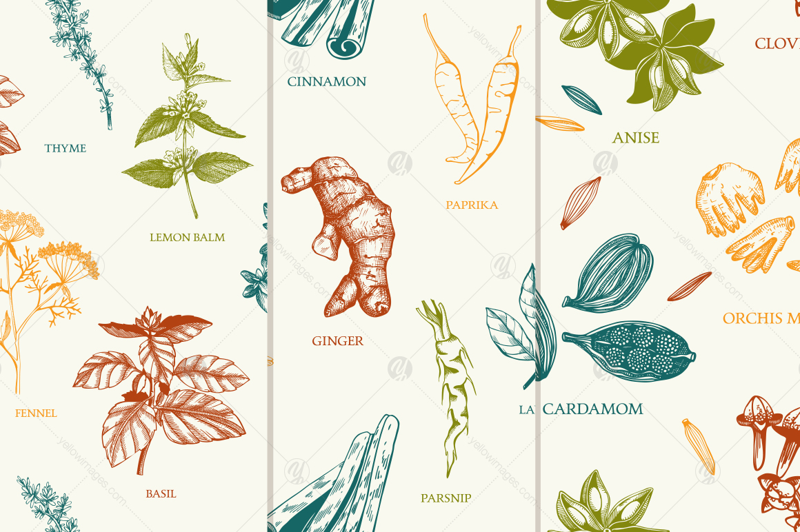 Ink Hand Drawn Spice Collection on Yellow Images Creative Store