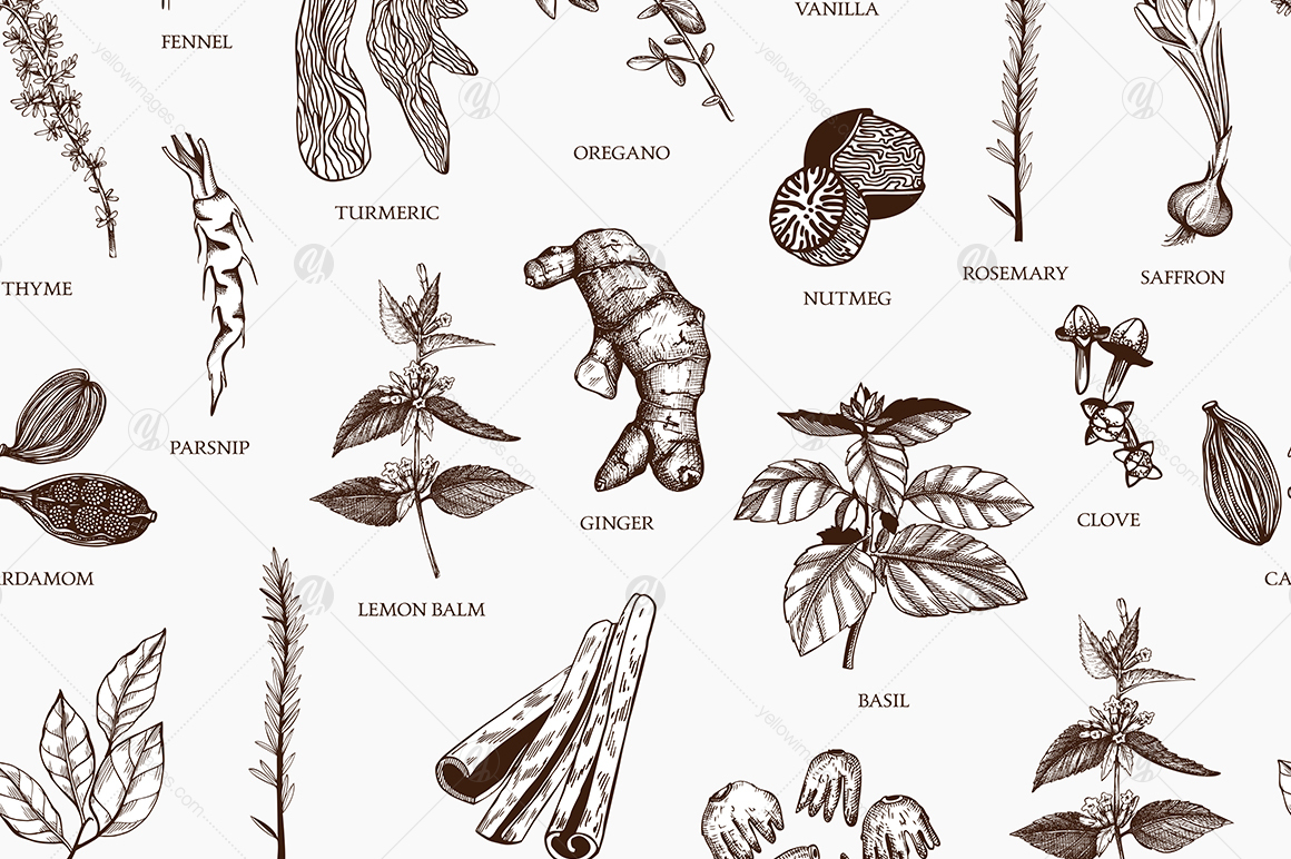Ink Hand Drawn Spice Collection on Yellow Images Creative Store