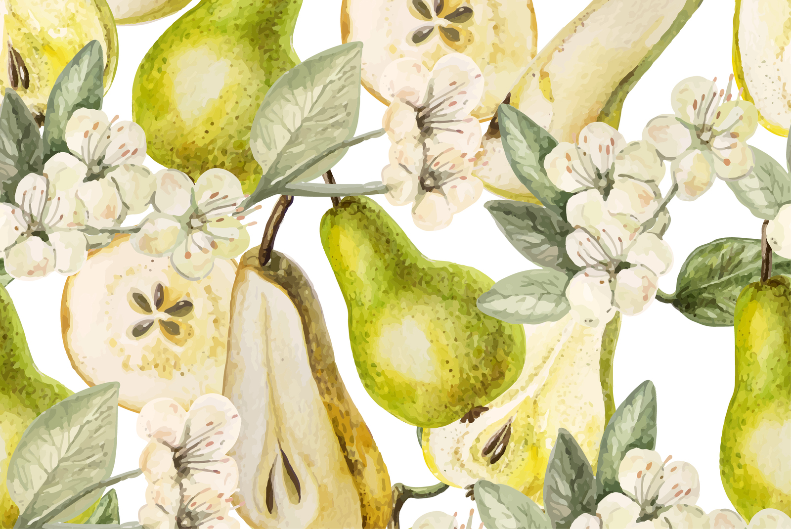Beautiful watercolor pears on Yellow Images Creative Store