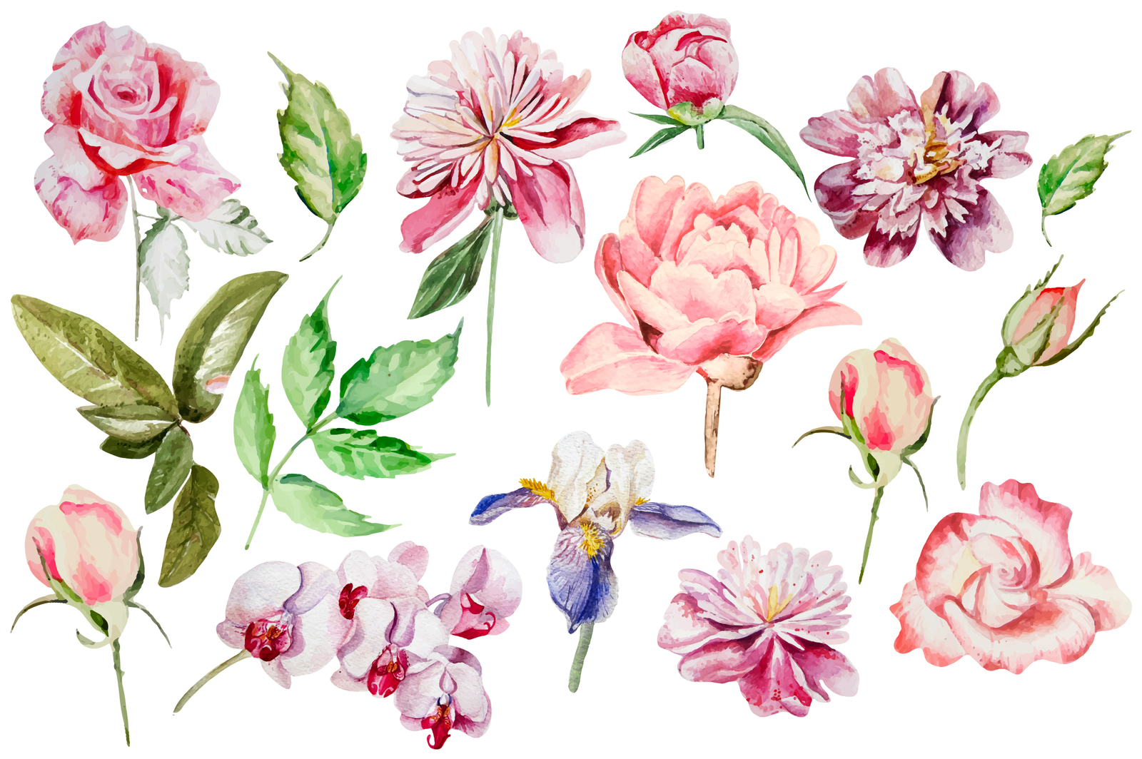 Beautiful watercolor flowers on Yellow Images Creative Store
