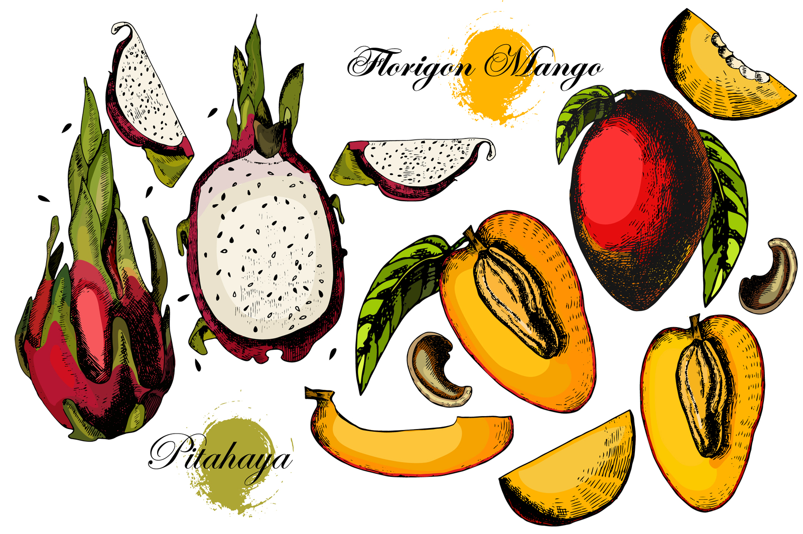 Hand drawing Citrus fruits on Yellow Images Creative Store