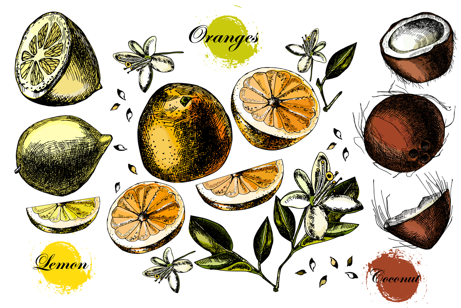 Hand drawing Citrus fruits on Yellow Images Creative Store