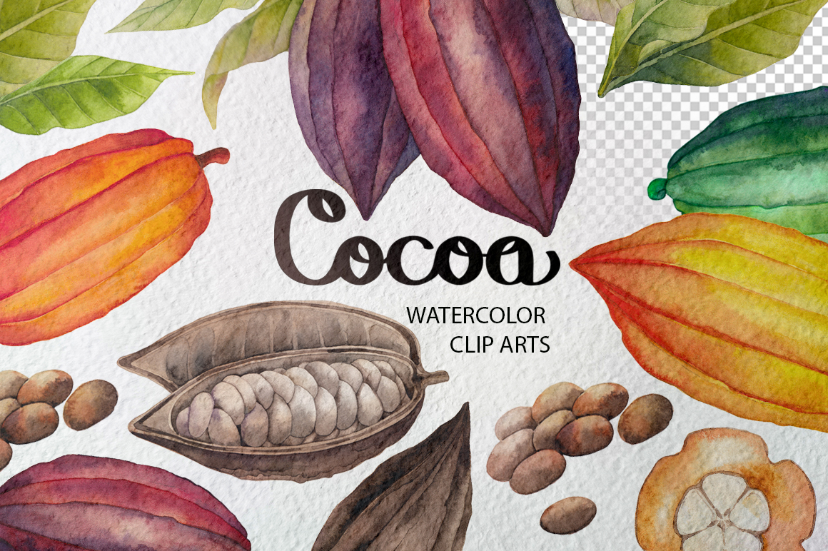 Watercolor and graphic Cocoa plants on Yellow Images Creative Store