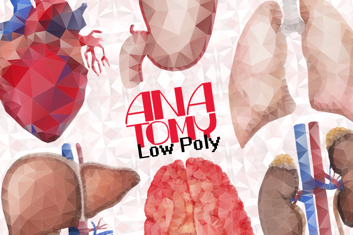 Watercolor human organs on Yellow Images Creative Store