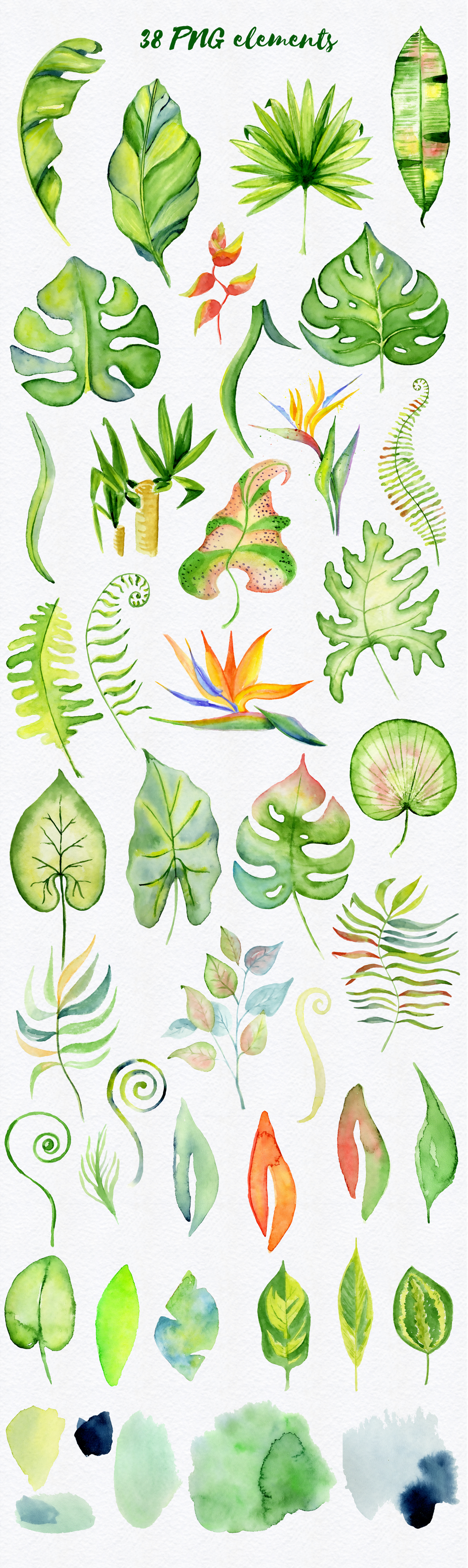 Tropical leaves watercolor clipart on Yellow Images Creative Store