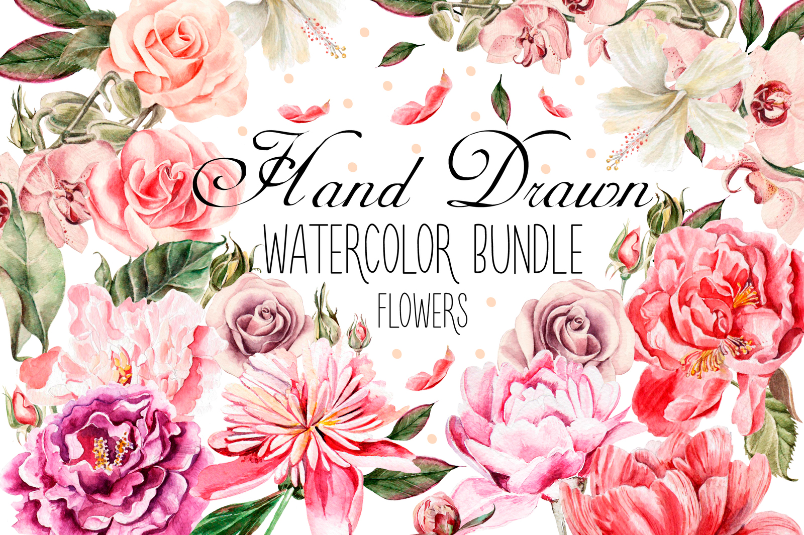 Hand Drawn Watercolor Bundle FLOWERS on Yellow Images Creative Store