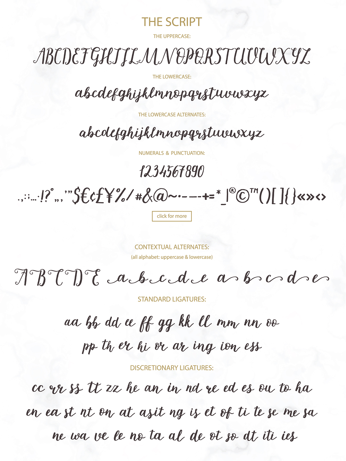 Mishelle script with extras on Yellow Images Creative Store