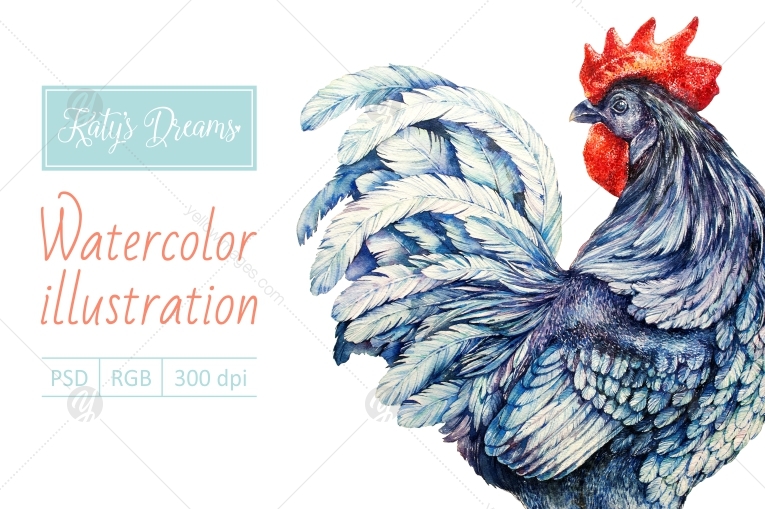 Watercolor rooster on Yellow Images Creative Store