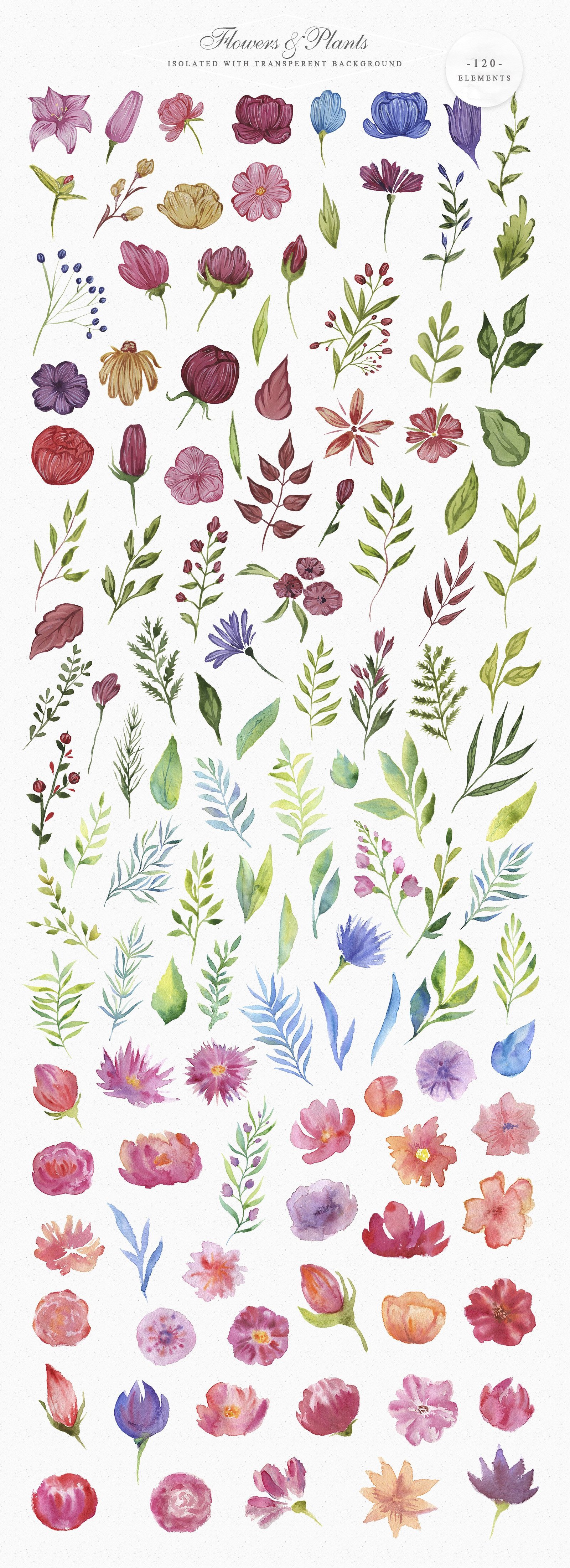 Spring Garden Watercolor Collection on Yellow Images Creative Store