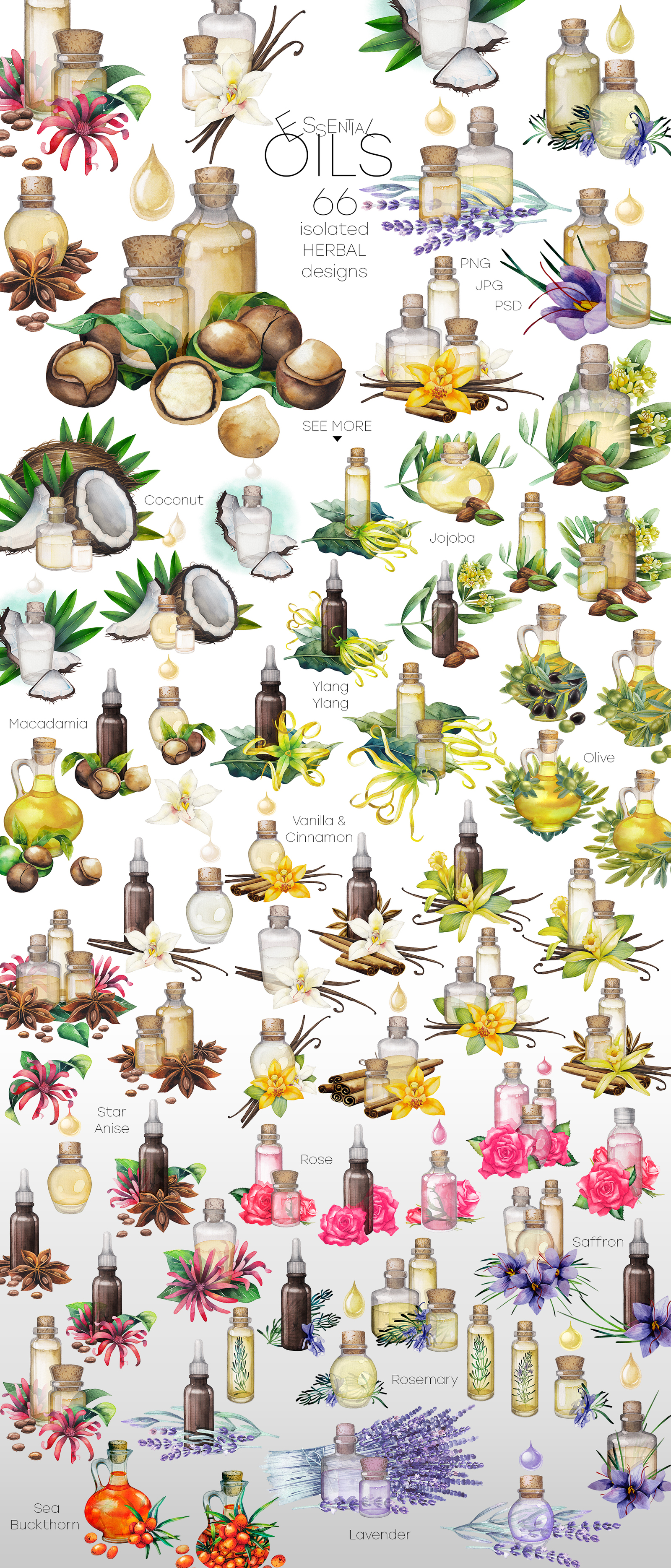 Watercolor essential oils on Yellow Images Creative Store