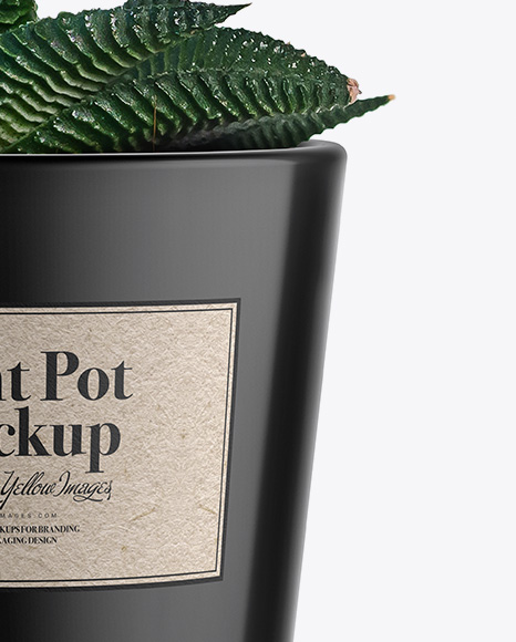 Glossy Plant Pot Mockup - Free Download Images High Quality PNG, JPG