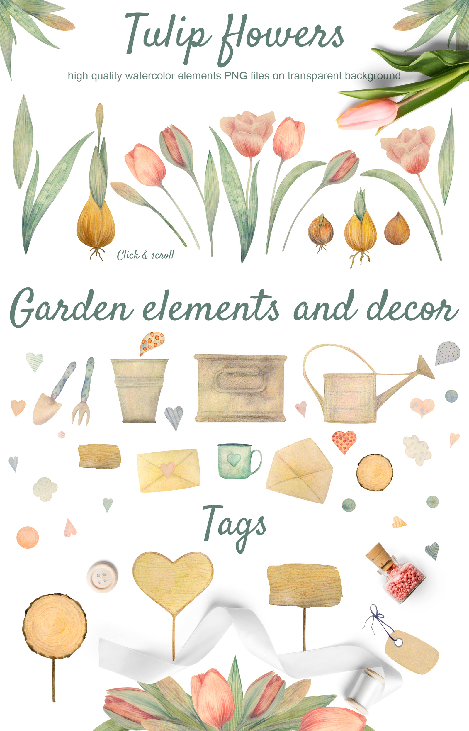 HELLO SPRING. Watercolor tulip set on Yellow Images Creative Store