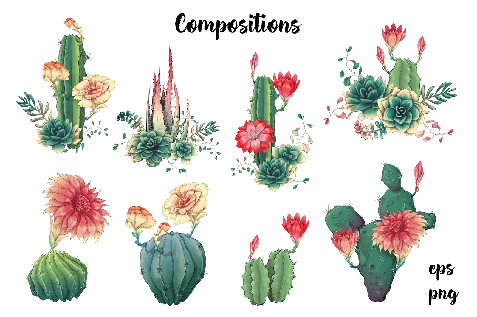 Cacti & Succulents on Yellow Images Creative Store