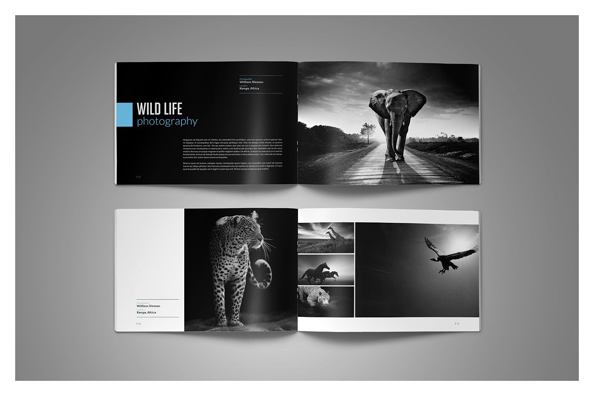 Photo Album Template on Yellow Images Creative Store