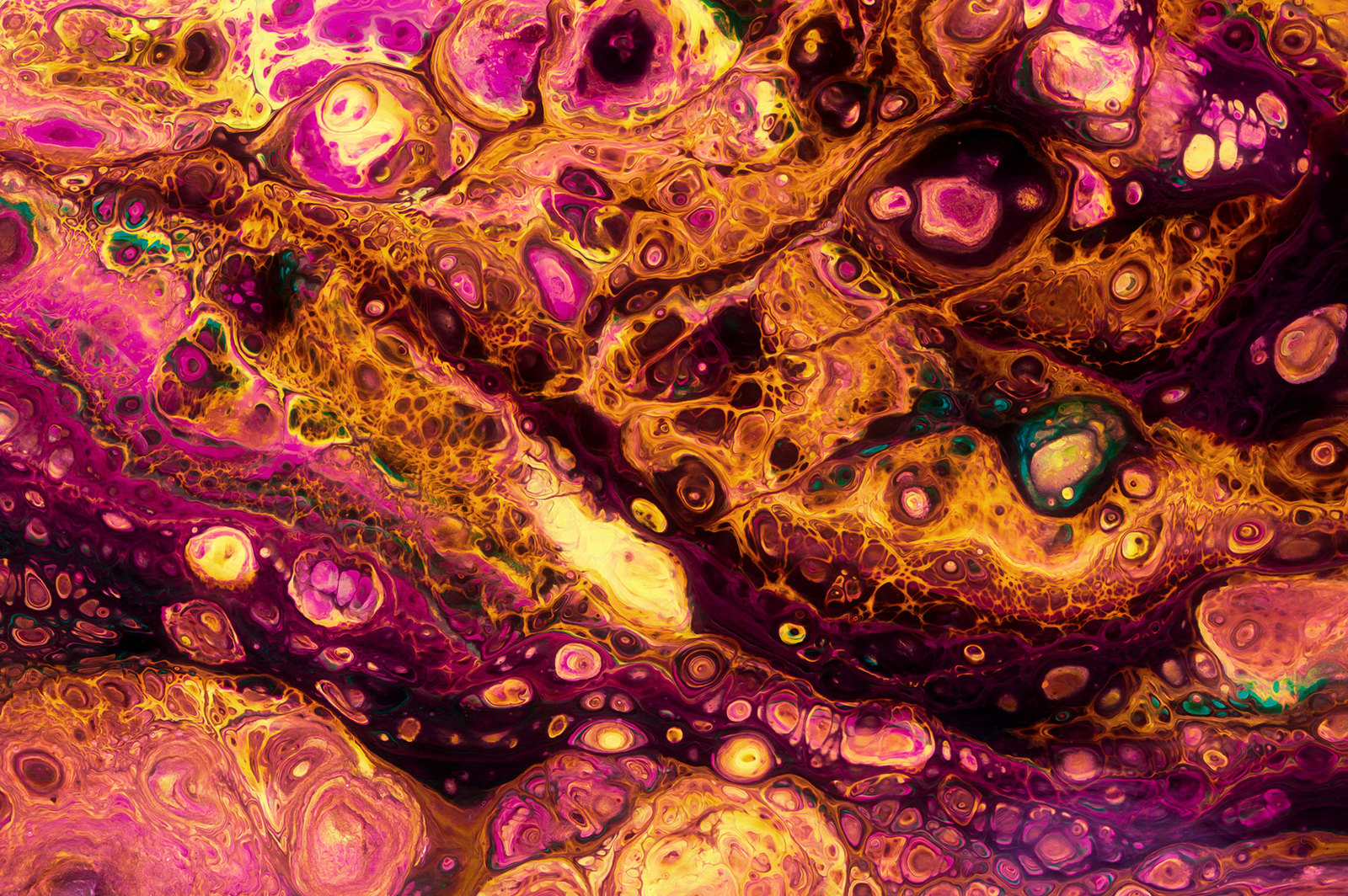 Fluid Paint Bundle: 45 Abstract Paintings on Yellow Images Creative Store