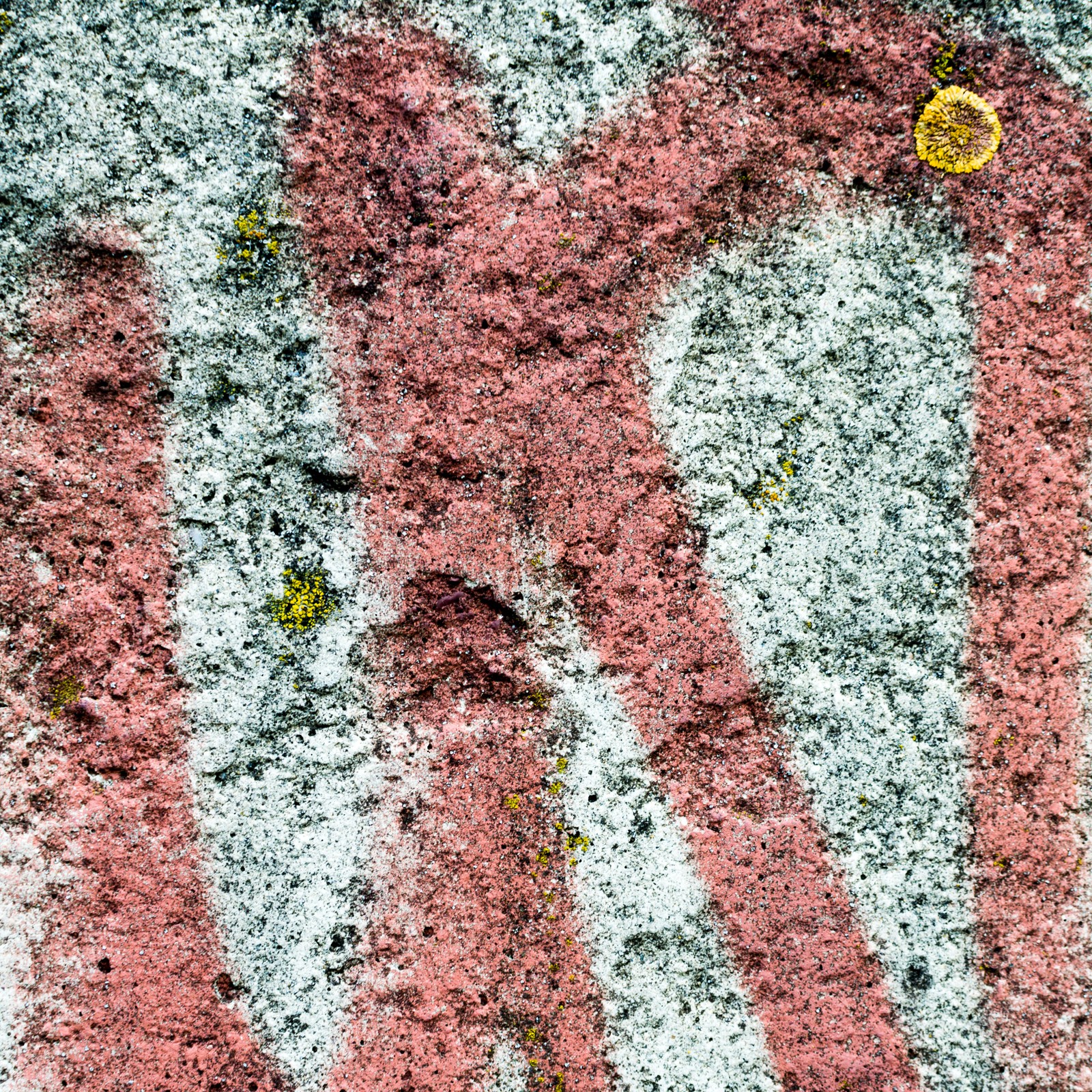 Urban Textures Vol.1 on Yellow Images Creative Store